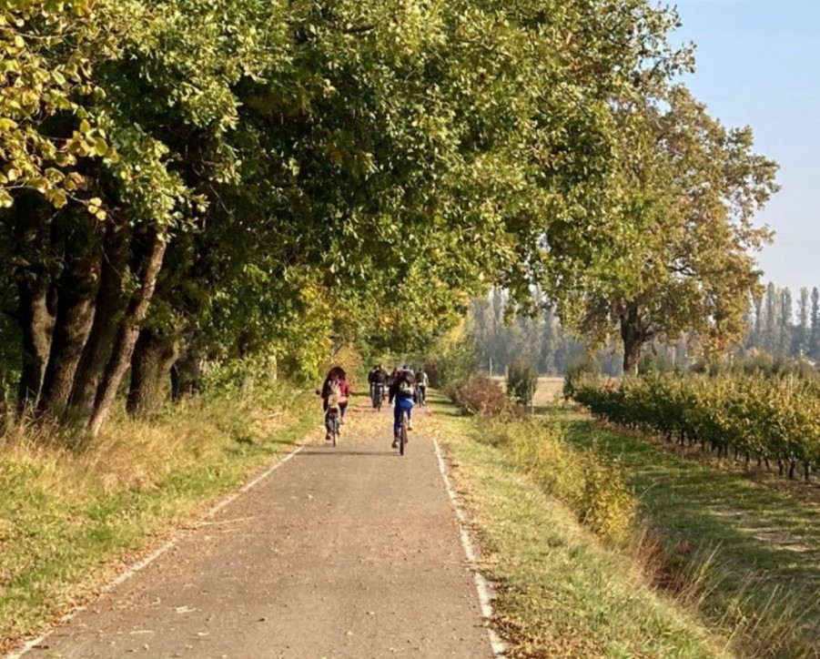 Il percorso ciclo-naturalistico del Canale Naviglio Zanelli | Unione ...